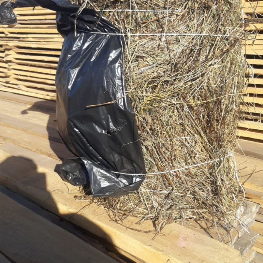 Сено в тюках,укос 2024 г