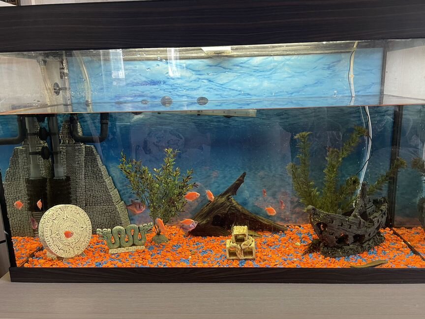 Продам Аквариум для рыб 160л. Комплект