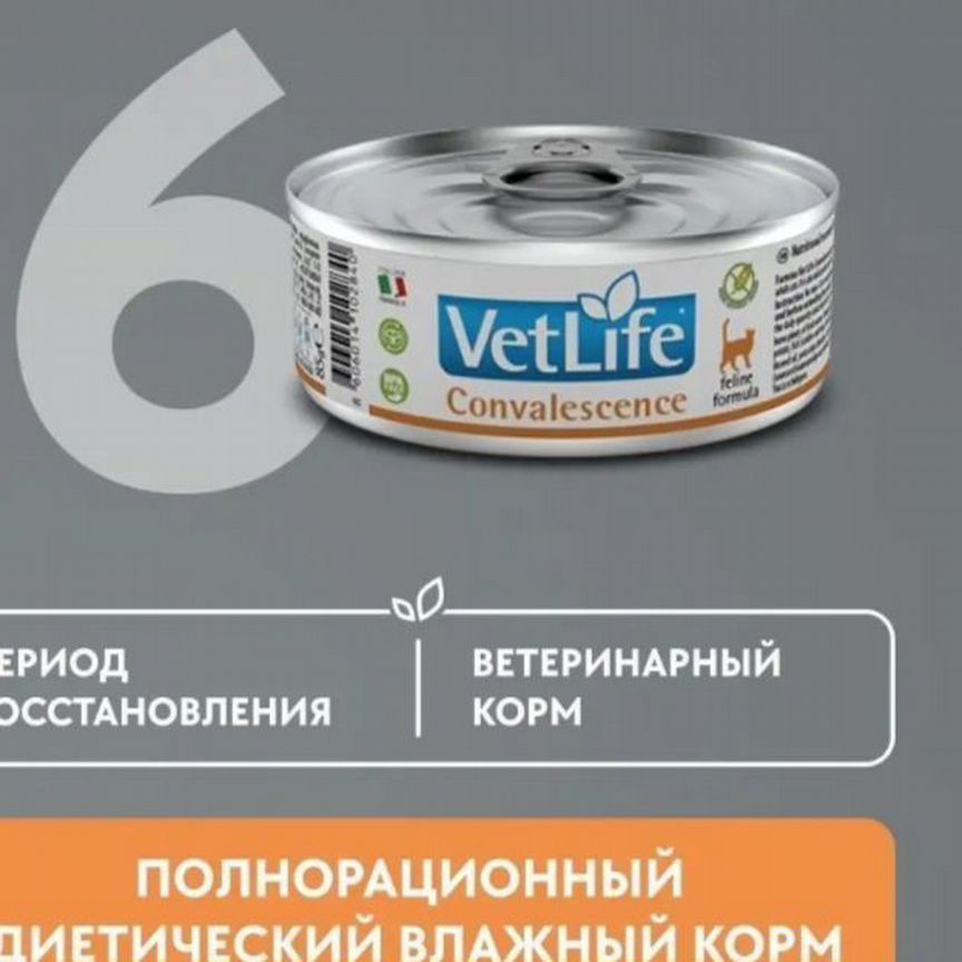 Фармина влажный корм для кошек после операции