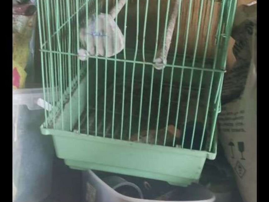 Клетка для попугая