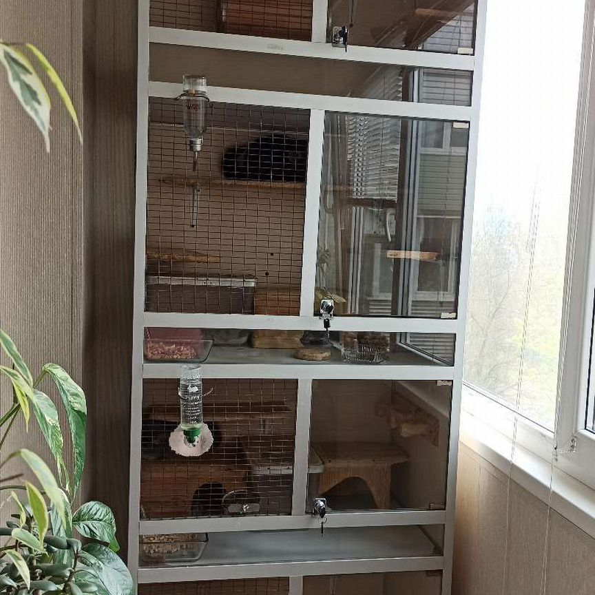 Витрина для шиншилл бу