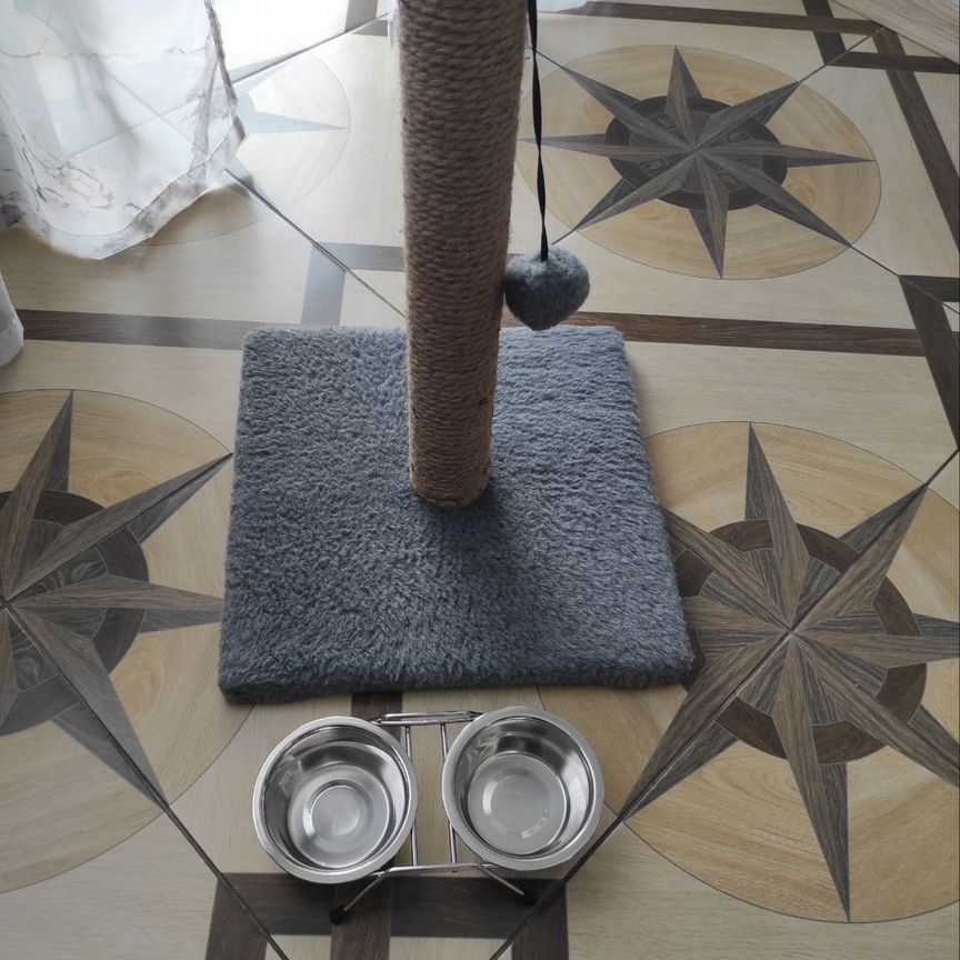 Когтеточка,миска