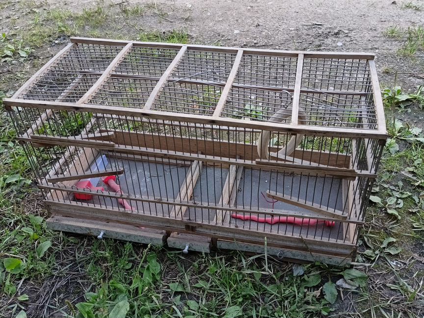 Клетка для птиц