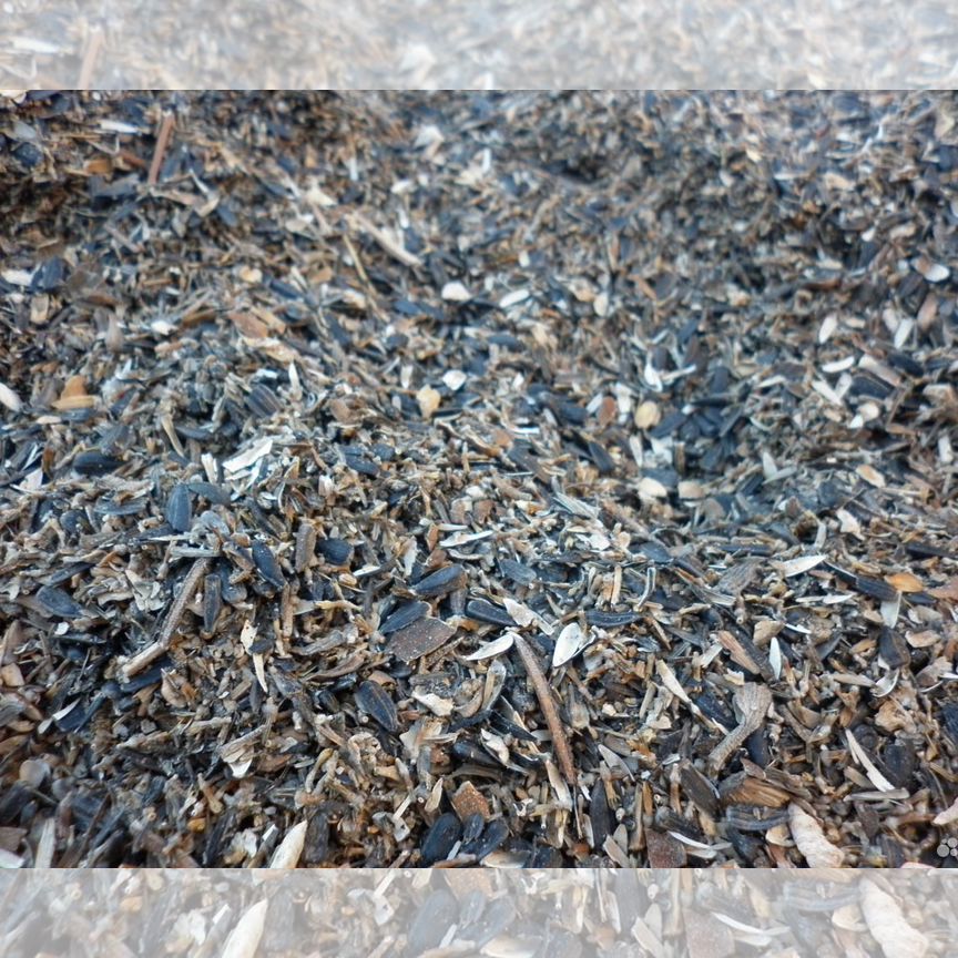 Отходы семечки