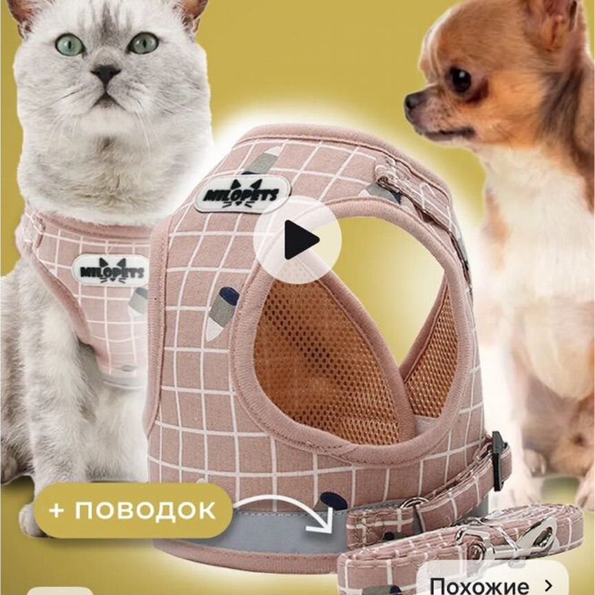 Шлейка для кошки