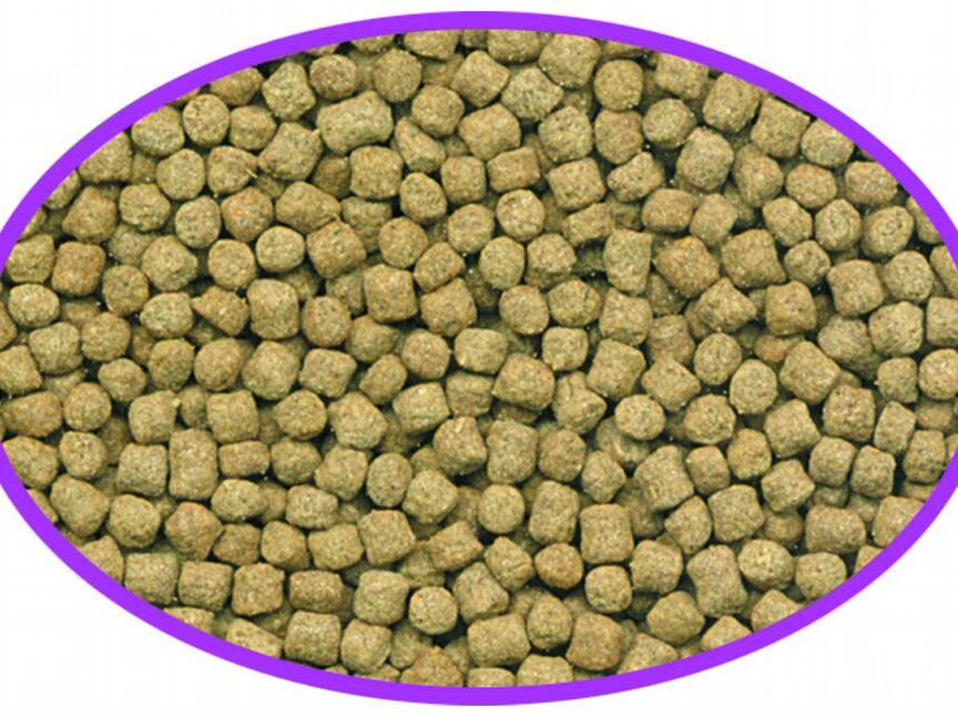 Корма для живой рыбы с доставкой