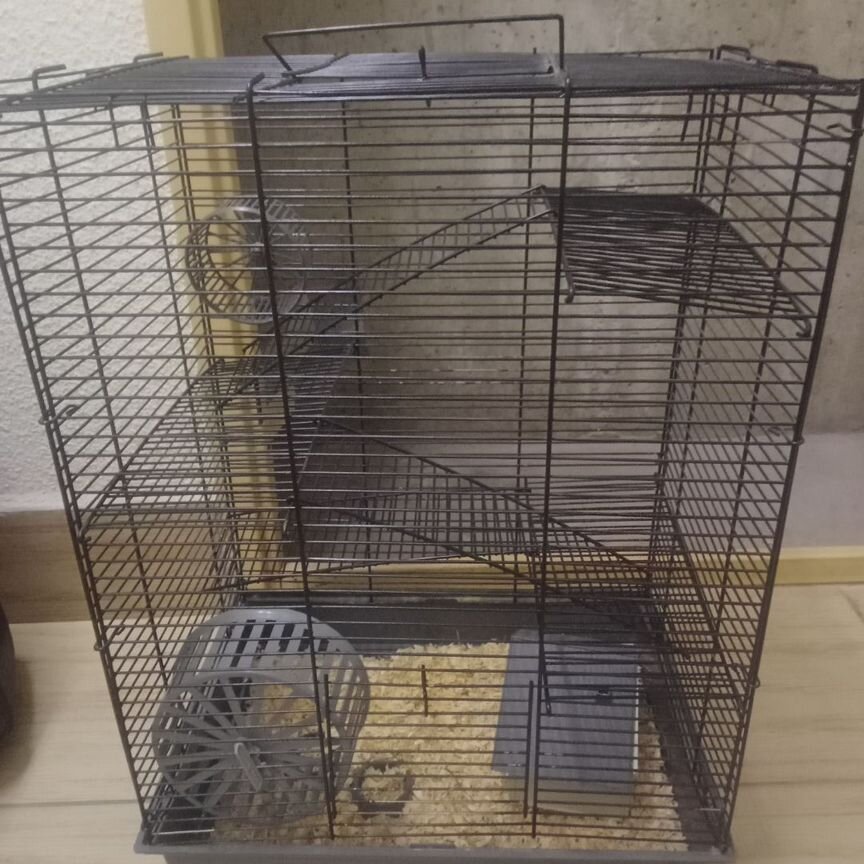 ECO клетка для грызунов гоша 4(домик,колесо,миска)