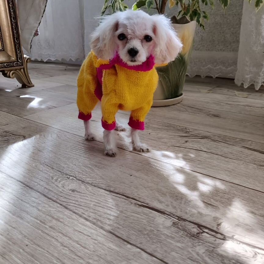 Подросток микро мальтипу