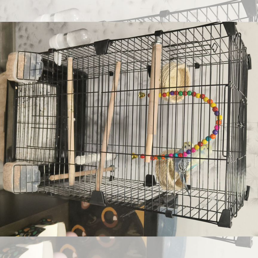 Волнистый попугай с клеткой