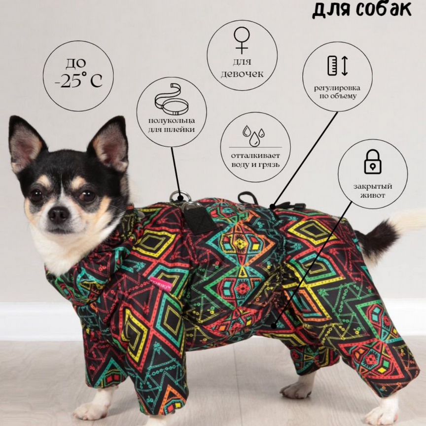 Одежда для собак