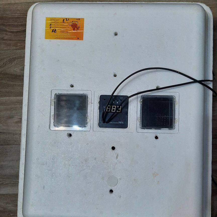 Инкубатор "несушка" на 77 яиц автоматический