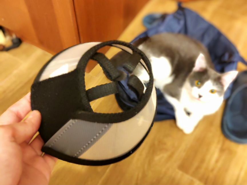 Воротник для котиков