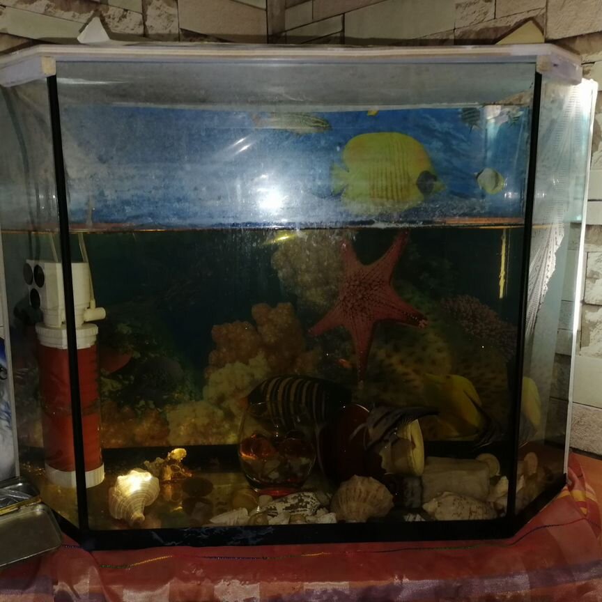 Аквариум с рыбками