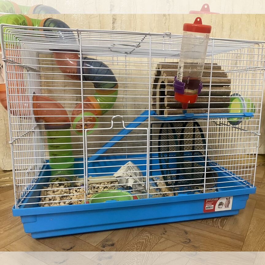 Клетка для грызуна с хомяком всем содержимым