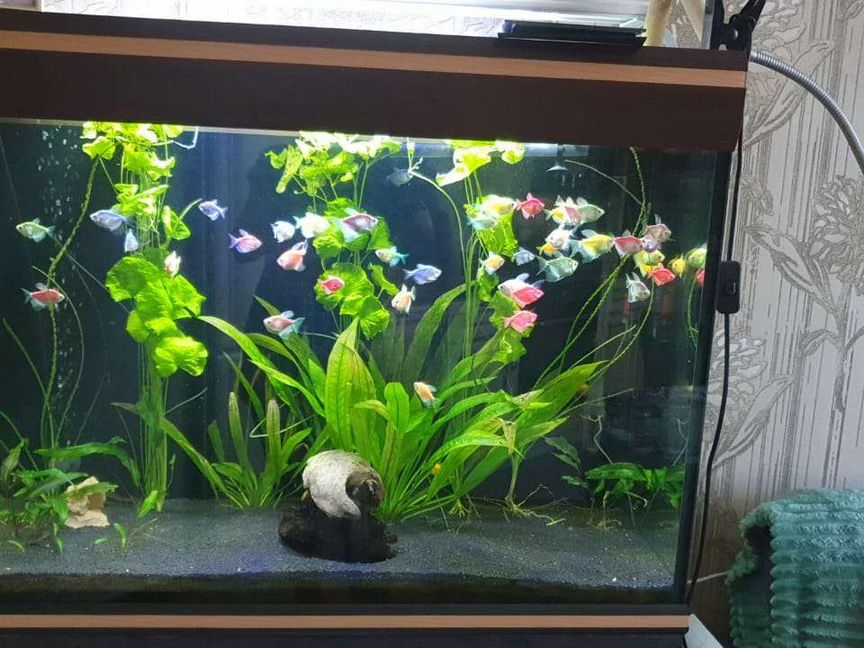 Аквариум,тумба,фильтр