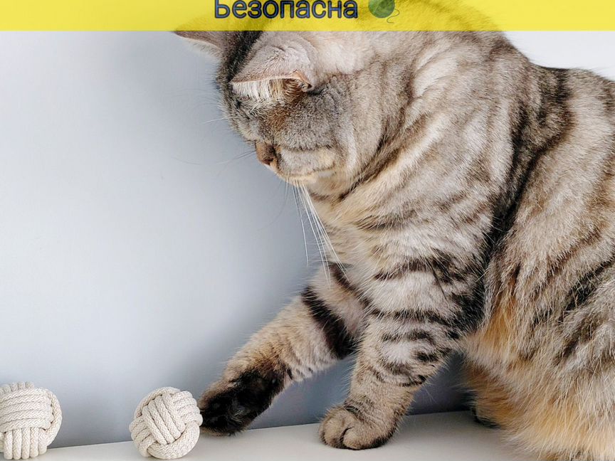 Мячик клубок для кошек / игрушка для кота