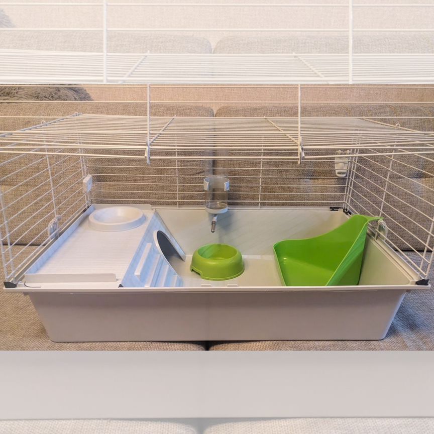 Клетка для морской свинки