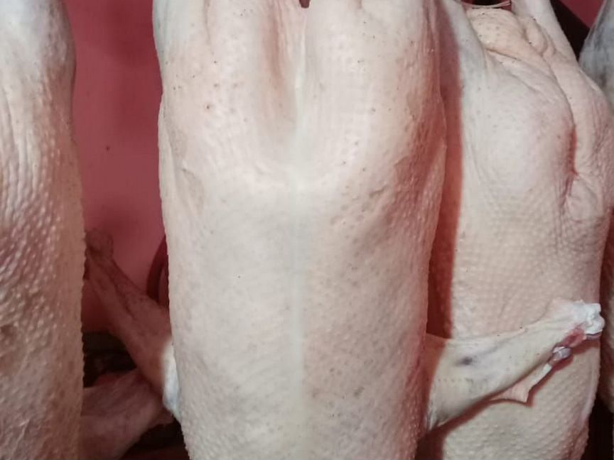 Гусиное мясо