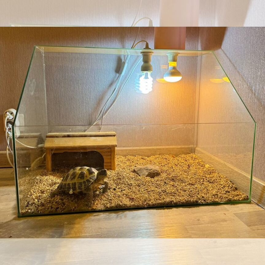 Продам черепаху с террариумом