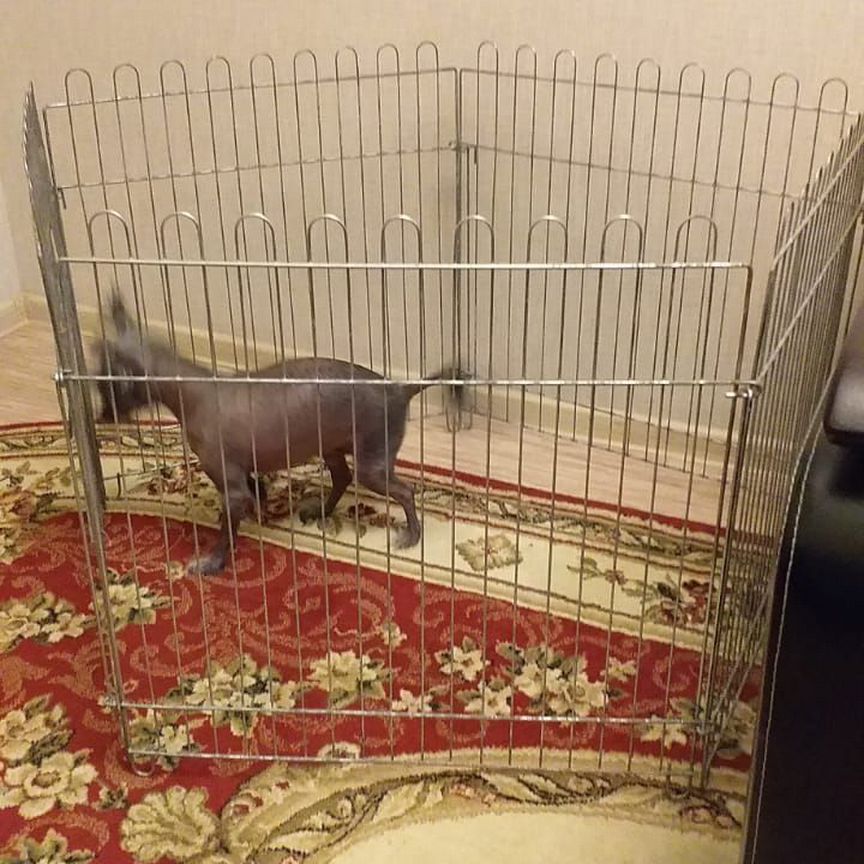 Вольер для собак в квартиру бу