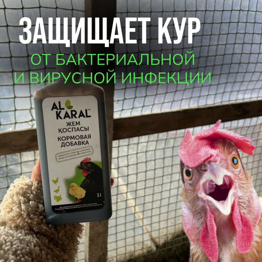 Добавка для кур, натуральная