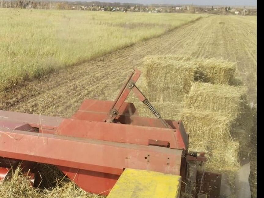 Продам сено овёс