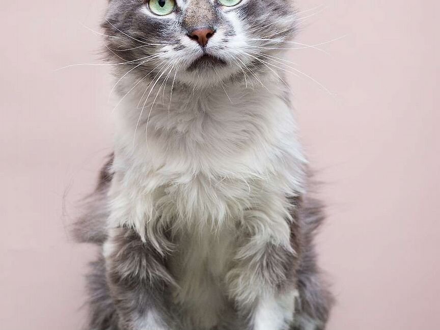 Мужчина в самом расцвете сил желает познакомиться