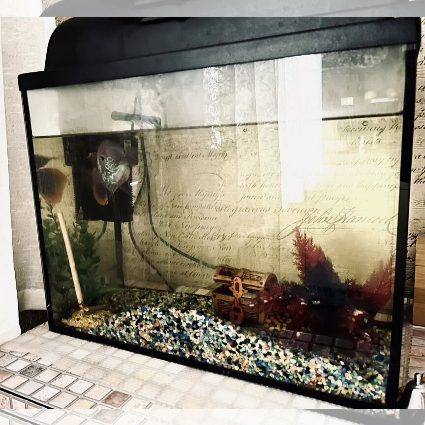 Аквариум с рыбками