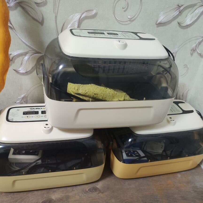 Инкубатор для яиц автоматический бу