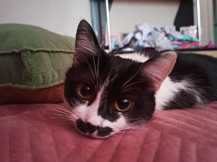 Яся 8месяцев