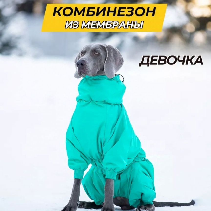 Зимний комбинезон