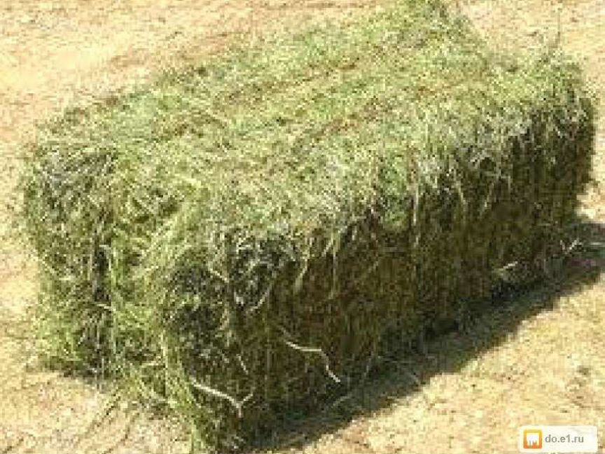 Сено, Солома в брикетах