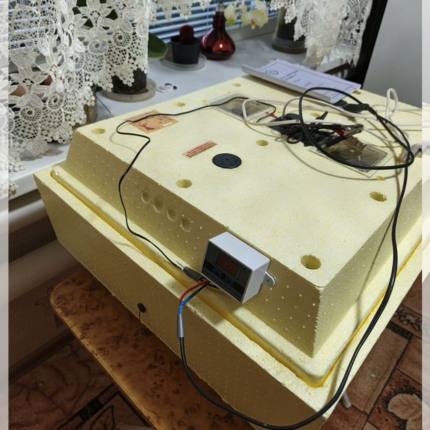 Инкубатор для яиц