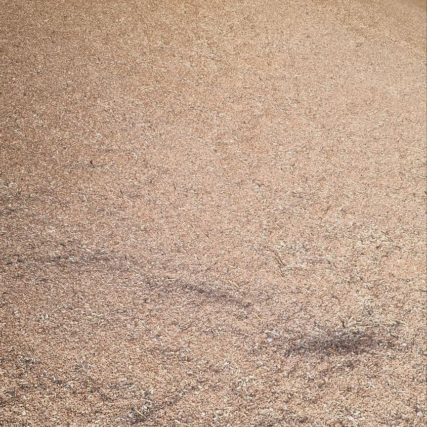 Продам зерноотходы