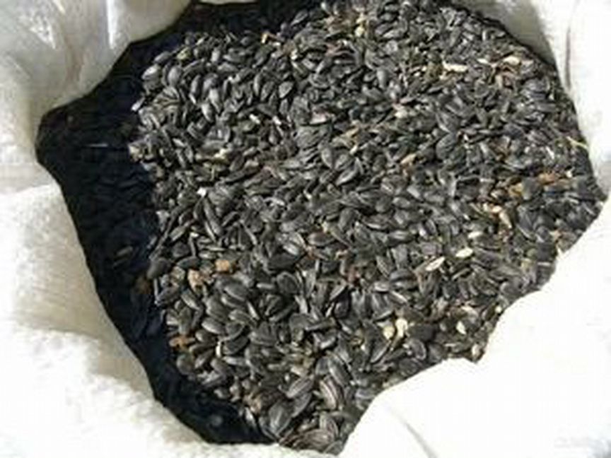 Семечка в мешках