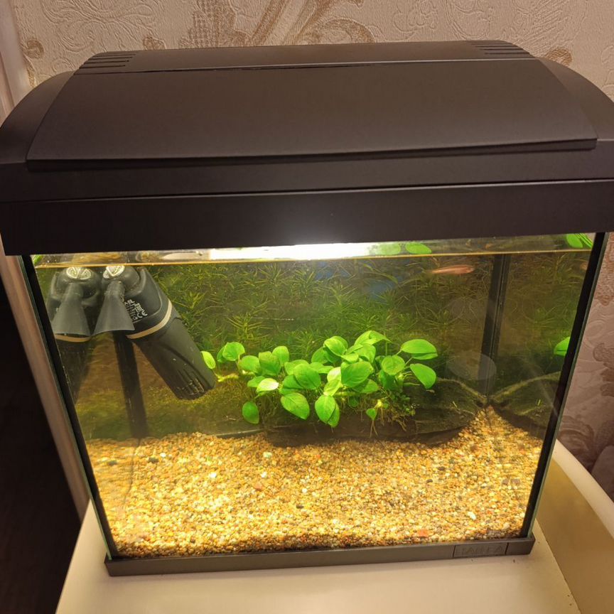 Аквариум на 30 литров