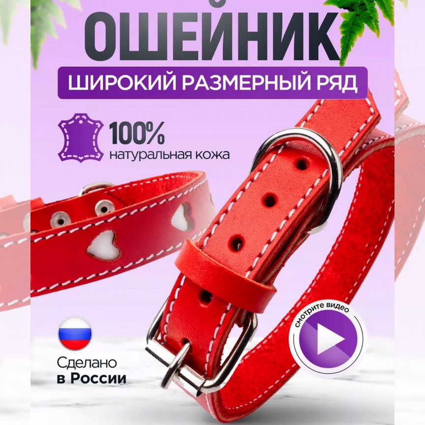 Ошейник