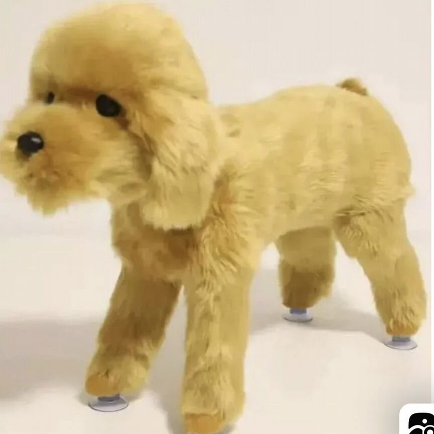 Игрушки для собак
