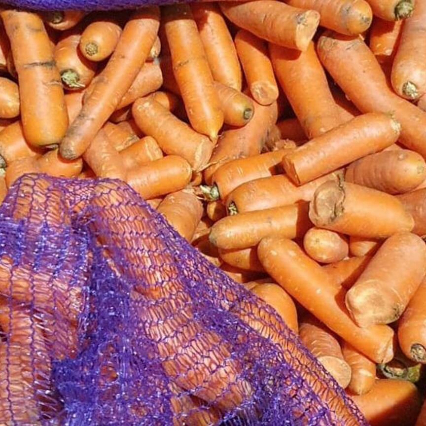 Морковь на корм животным
