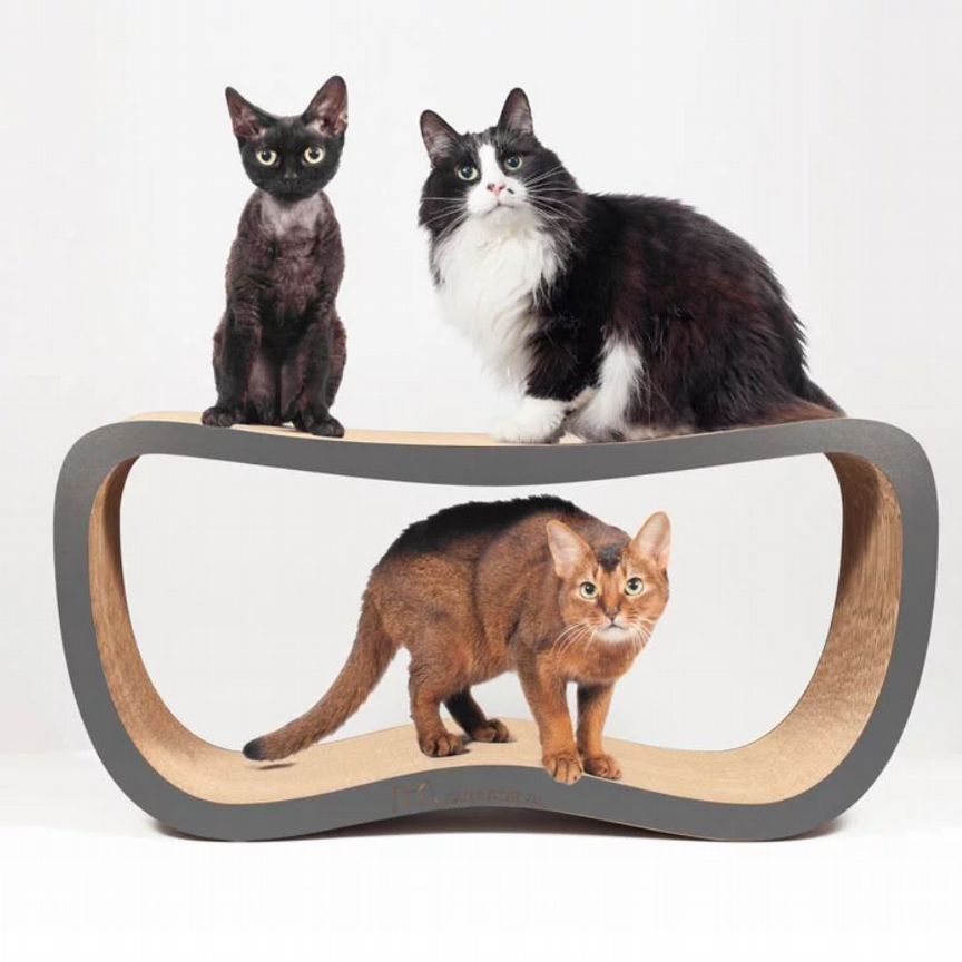 Когтеточка для кошек и котят