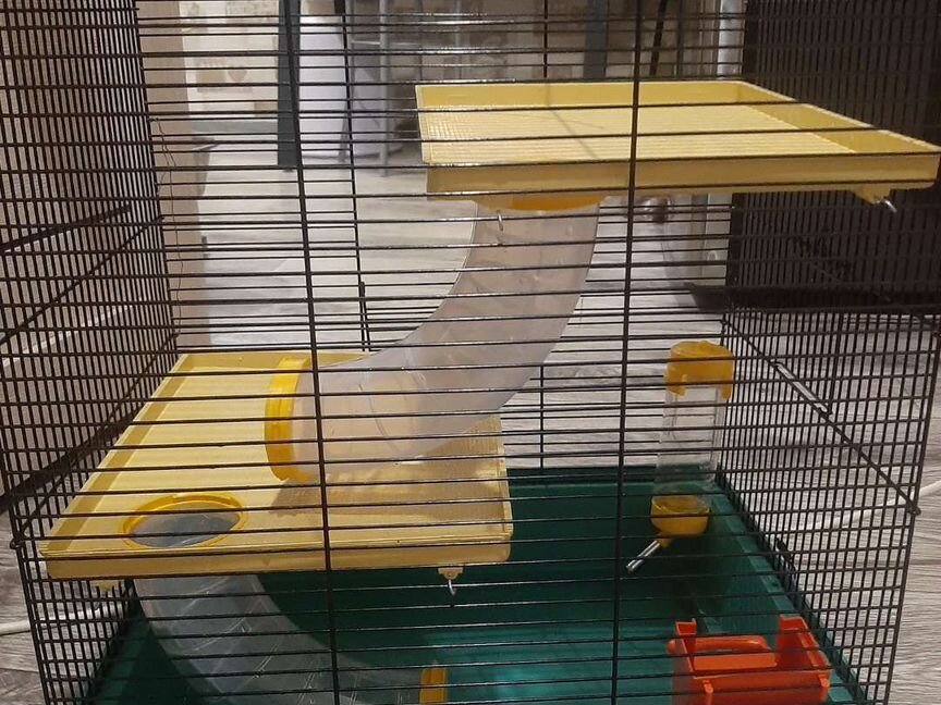 Клетка для грызунов бу