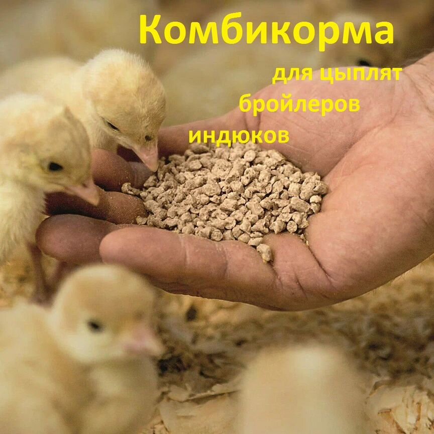 Комбикорма для цыплят, бройлеров, индюков