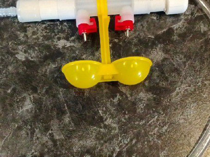 Поилка для кур