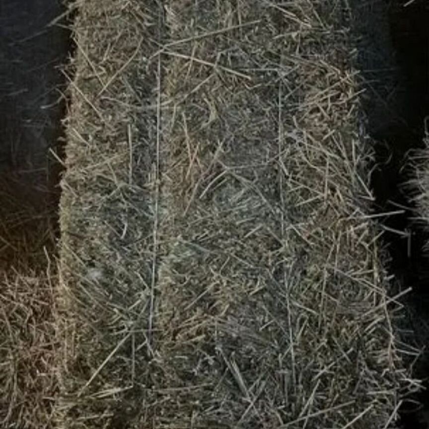 Люцерна в тюках
