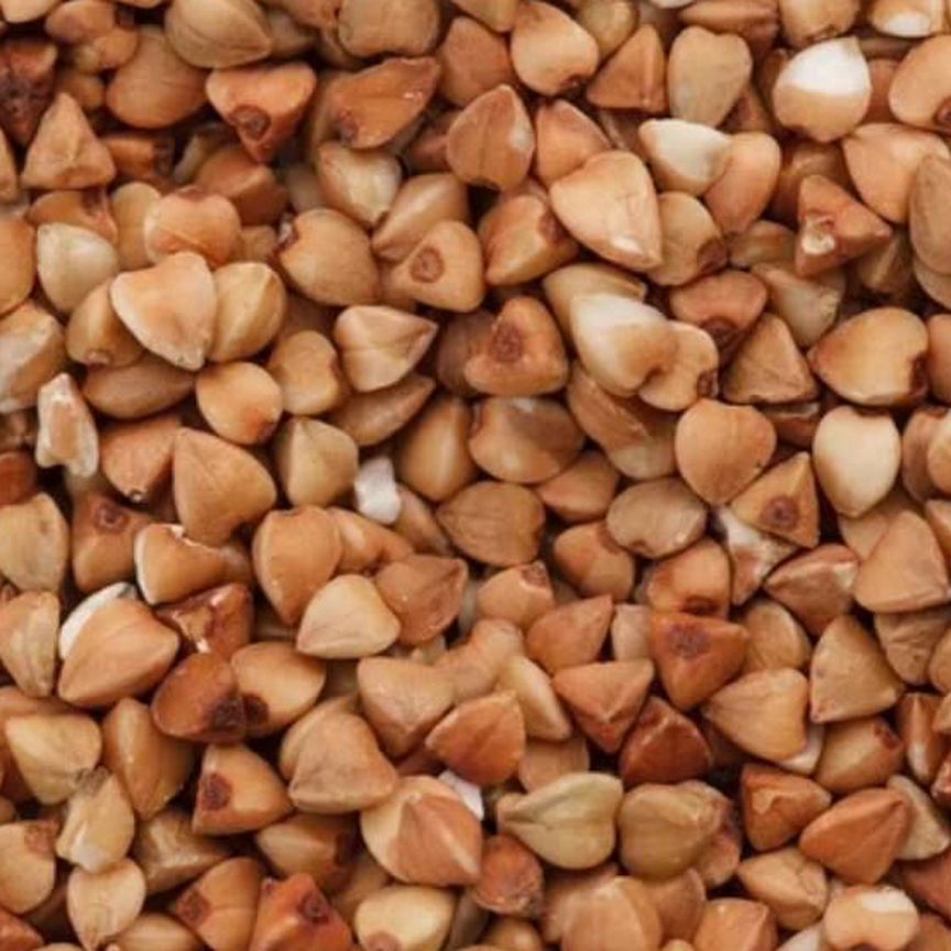 Пшеница и зерно разных видов