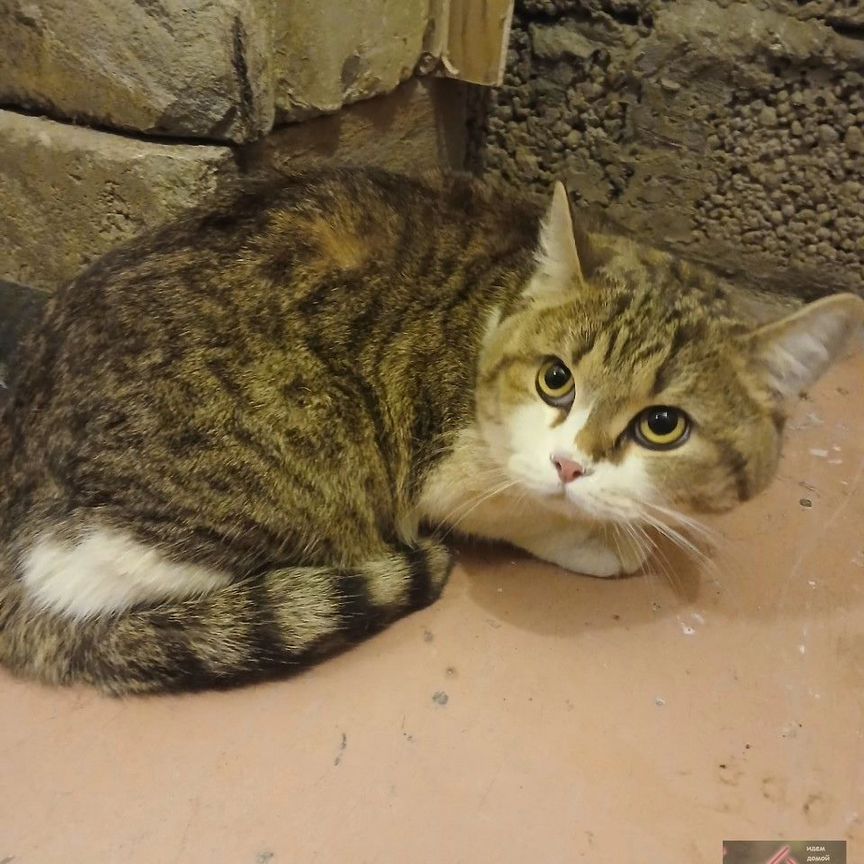 Подкинули в подъезд