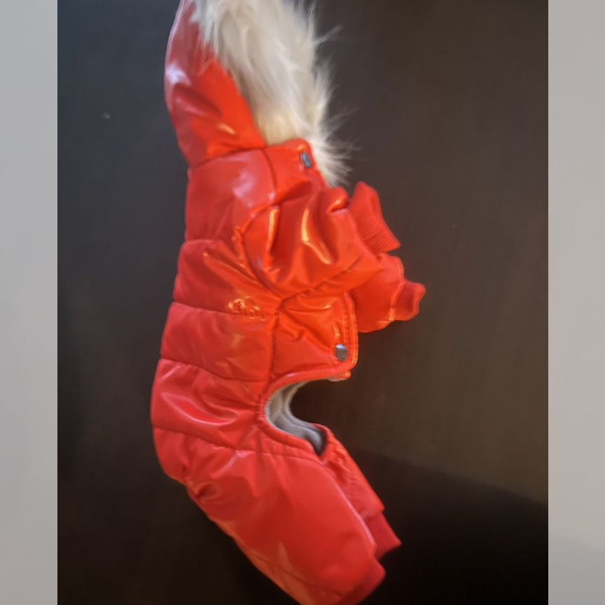 Одежда для маленьких собак