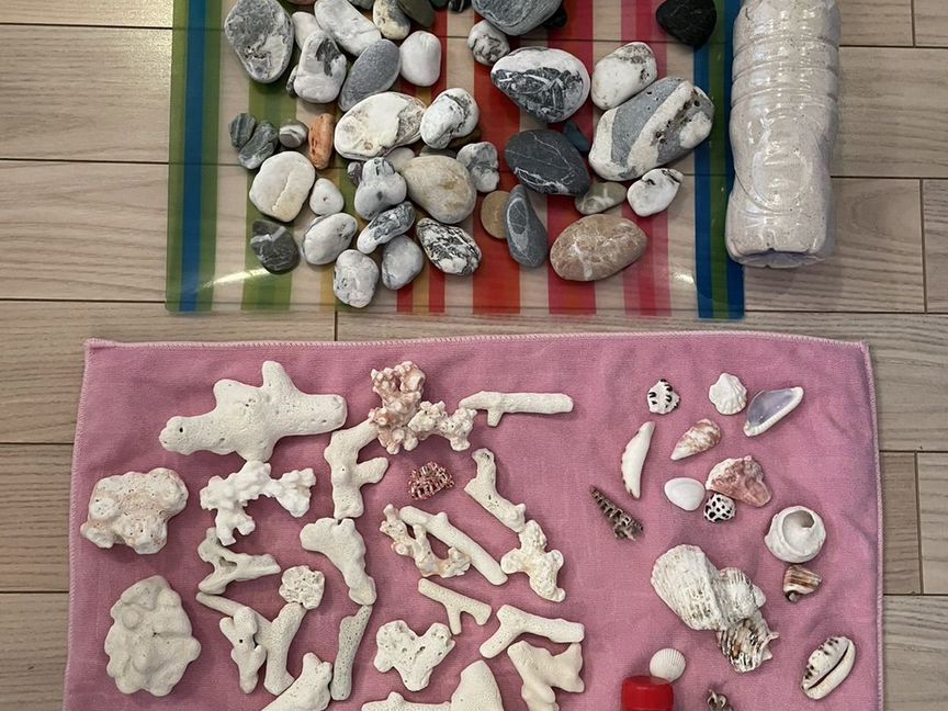 Кораллы, камни, песок