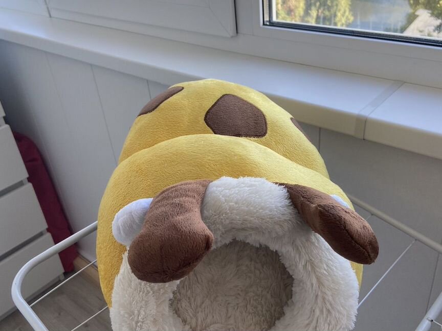 Домик пчелка для собаки или кошки