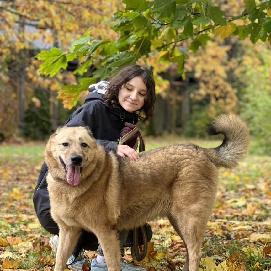 Фиона скучает по семье